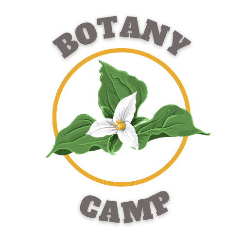 Home - Botany Camp